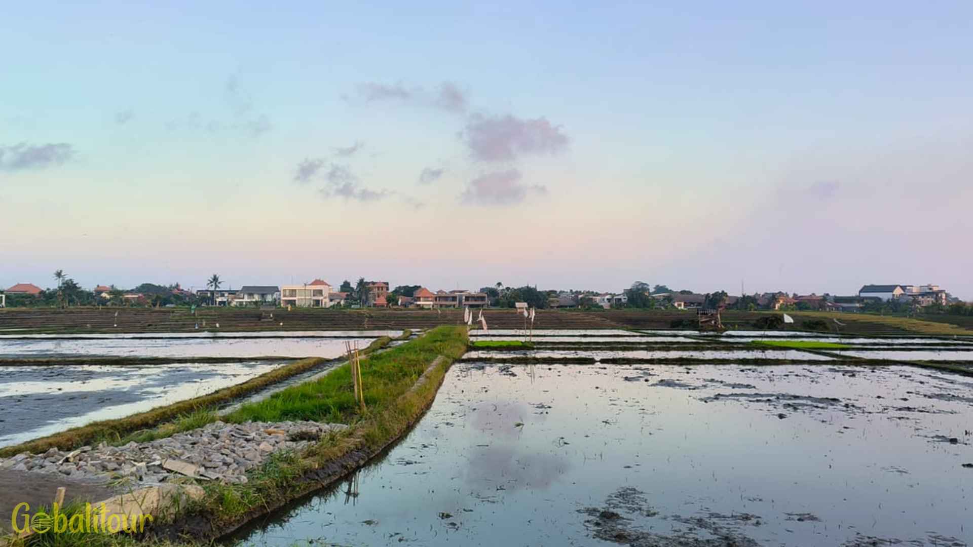 Canggu Punya Pemandangan Sawah Ubud Hati-Hati!! - Outing Bali