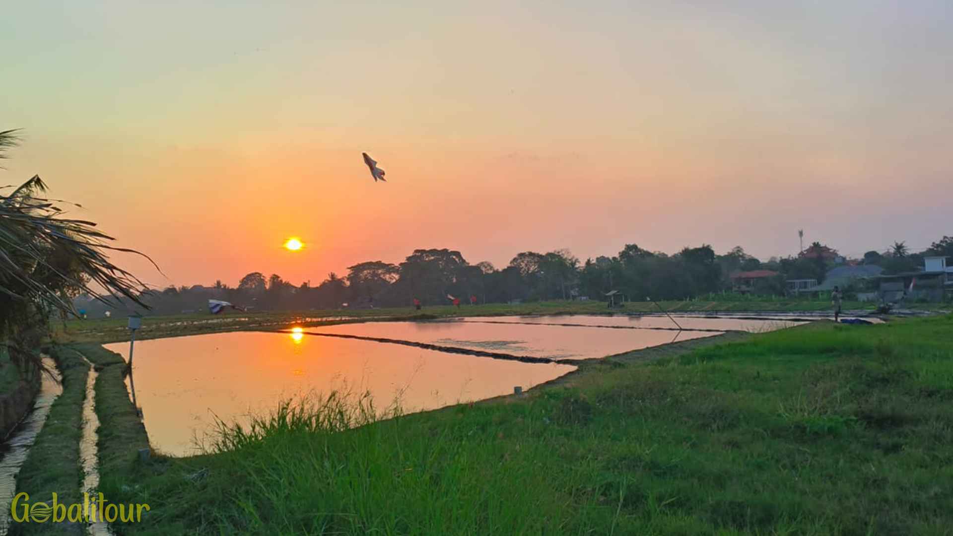Canggu Punya Pemandangan Sawah Ubud Hati-Hati!! - Outing Bali